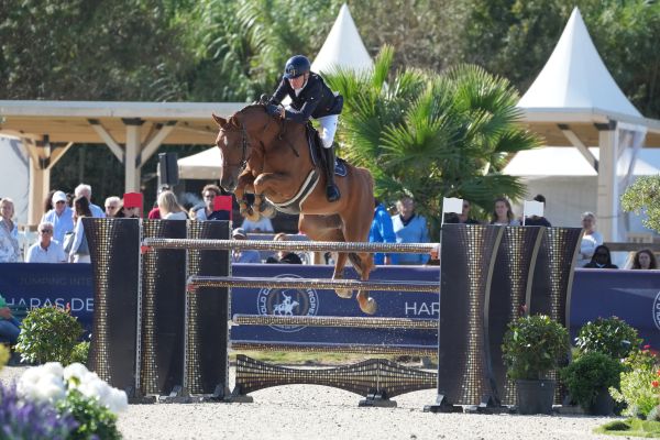 Calasto Z wins the CSI3* Grand Prix of Le Pin au Haras